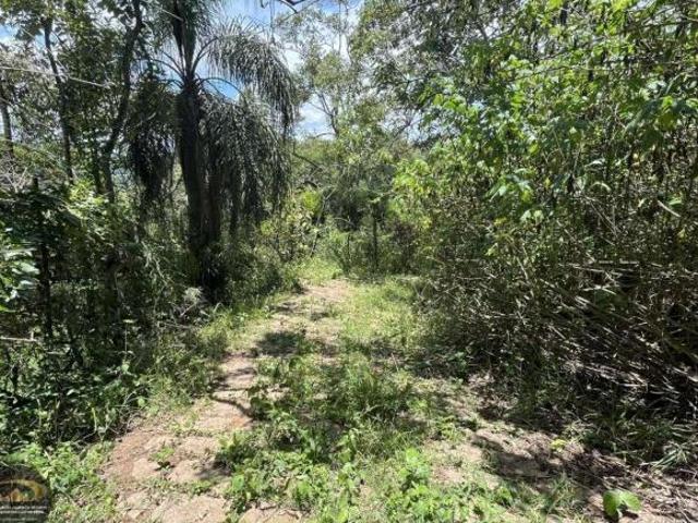 Casa em Condomínio para Venda em Santana de Parnaíba, Residencial Santa Helena Gleba I, 4 dormitór