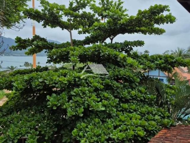 Casa em Ilhabela com vista para o mar, 4 suítes, varanda e quintal, ideal para quem busca personali