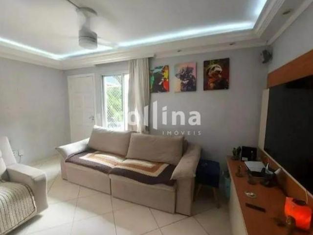 Casa em Jardim Torino, Cotia/SP de 10m² 2 quartos à venda por R$ 390.000,00