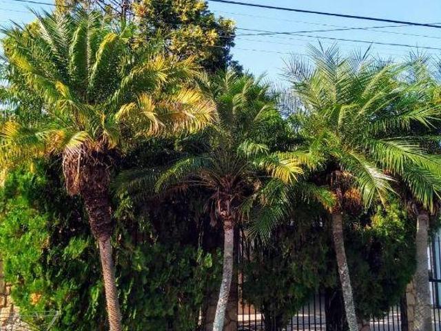 Casa em Jardim Chapadão, Campinas/SP de 260m² 3 quartos à venda por R$ 1.300.000,00