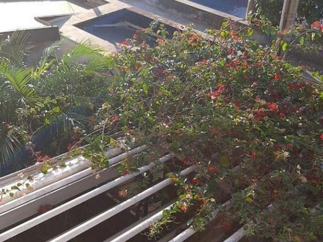 Casa em Rua Sousa Filho Vila Santa Delfina São Paulo/SP