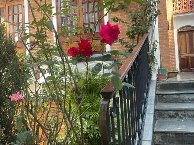 Casa, Jardim Avelino, São Paulo, SP