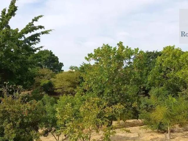 Casa R$ 1.595.000 Condomínio Jardins Di Roma Indaiatuba/SP
