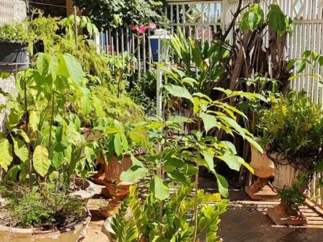 Casa Padrão em São José do Rio Preto