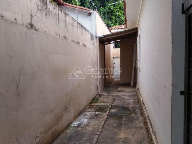 Casa para alugar no Vila Itapura em Campinas