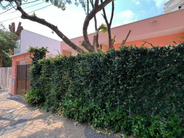 Casa para alugar com 4 quartos no Cambui em Campinas SP