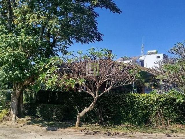 Casa para aluguel no Jardim Europa
