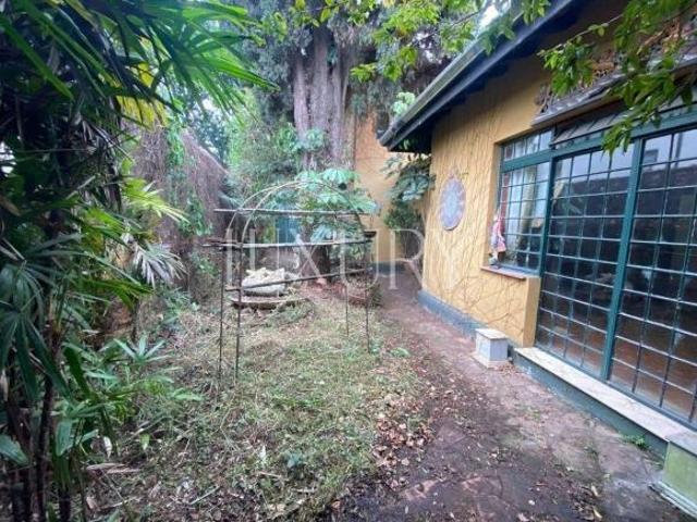 Casa para reforma total a venda no Jardim Paulistano, 683 m² de terreno próximos aos clubes