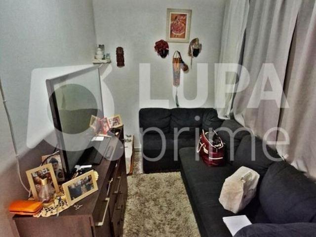 CASA PARA RENDA À VENDA EM GUARULHOS