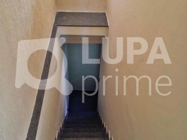 CASA PARA RENDA À VENDA NA VILA EDE
