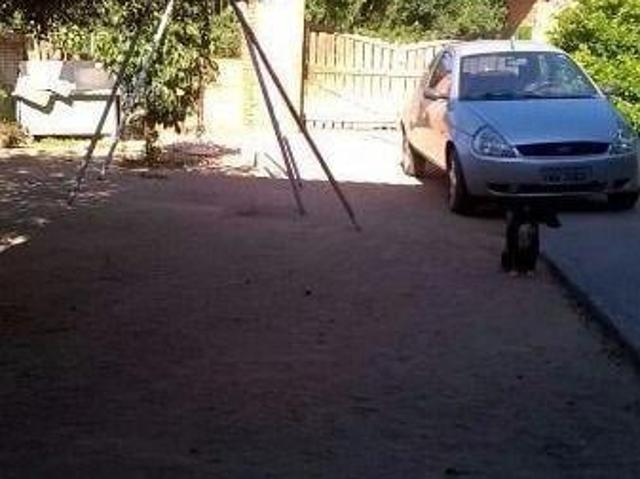 Casa para Venda 140m², 5 dormitórios, 3 vagas Lami