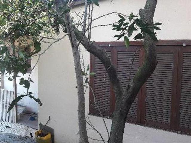 Casa para Venda 230m², 2 dormitórios, 3 vagas Santa Tereza