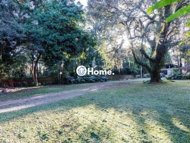 Casa para Venda 292.21m², 4 dormitórios, sendo 2 suites, 3 vagas Tristeza