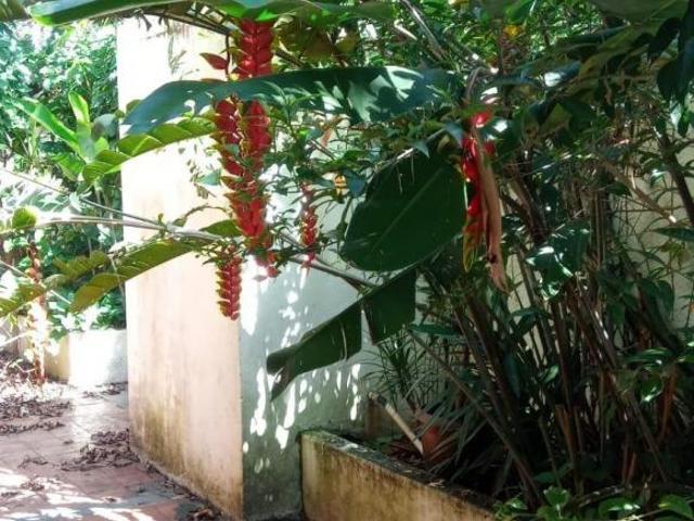Casa para Venda, 372MTS, Vila da Saúde, 03 Suítes, Living 2 ambientes, Copa e Cozinha, Lavanderia, 4