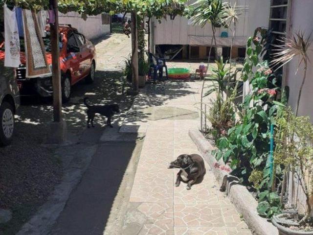Casa para Venda 440m², 2 dormitórios, Tristeza