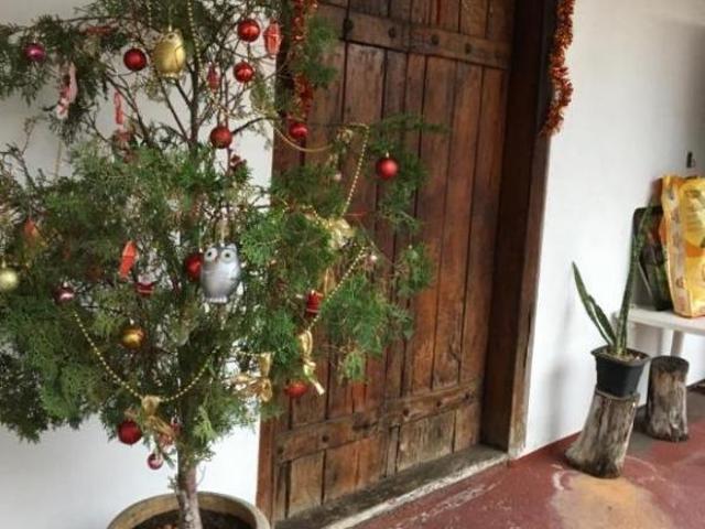 Casa para venda em Arvoredo, Contagem