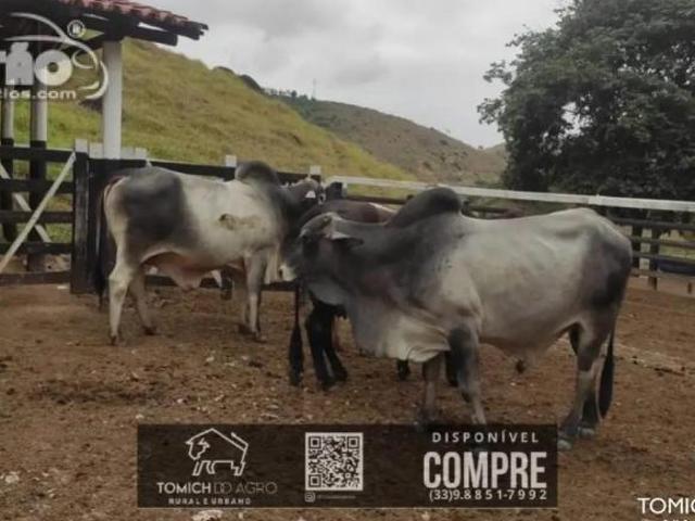 Casa para venda em Área Rural de Teófilo Otoni, Teófilo Oton