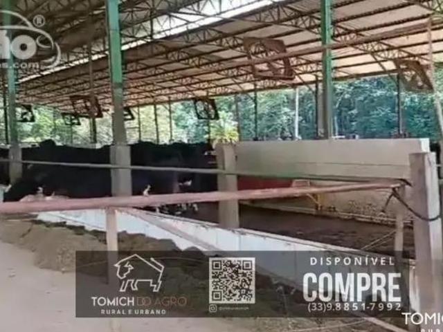 Casa para venda em Itambacuri