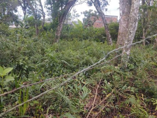 Casa para Venda em Itanhaém, Balneário Gaivota