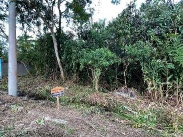 Casa para Venda em Itanhaém, Jardim Fenix ITANHAEM