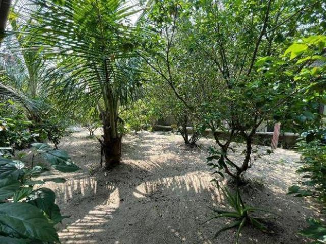 Casa para Venda em Itanhaém, Oásis, 3 dormitórios, 2 suítes, 1 banheiro, 4 vagas