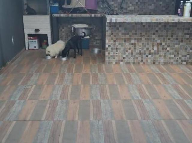 Casa para Venda em Itanhaém, Vila São Paulo, 2 dormitórios, 2 banheiros, 1 vaga