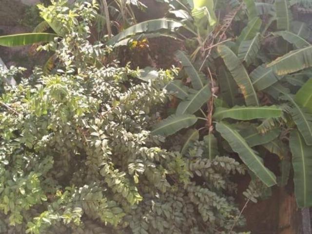 Casa para venda em Jardim Riacho das Pedras, Contagem