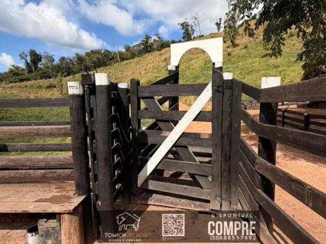 Casa para venda em Malacacheta
