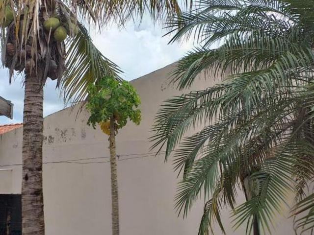 Casa para Venda em Marília, Jardim Sasazaki, 3 dormitórios, 1 suíte, 4 banheiros, 3 vagas