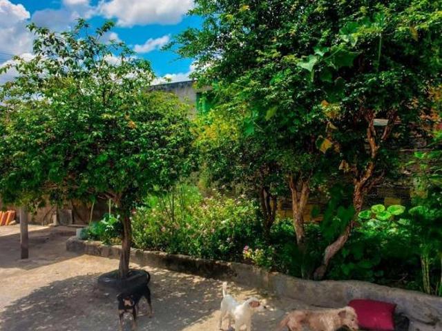 Casa para venda em Nacional, Contagem