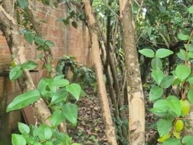 Casa para Venda em São Joaquim de Bicas, IMPERADOR