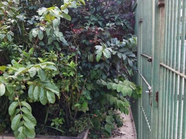 Casa para Venda em São Paulo, Sumaré, 2 dormitórios, 2 banheiros, 1 vaga