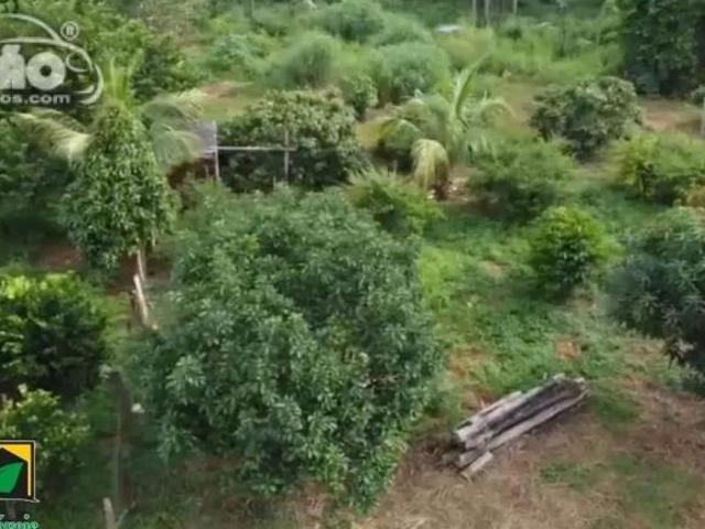 Casa para venda em Sinop