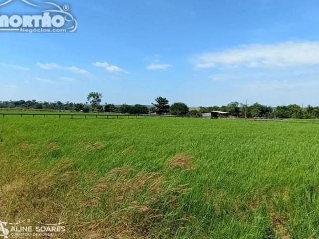 Casa para venda em Sinop