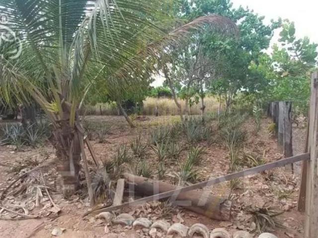 Casa para venda em Sinop