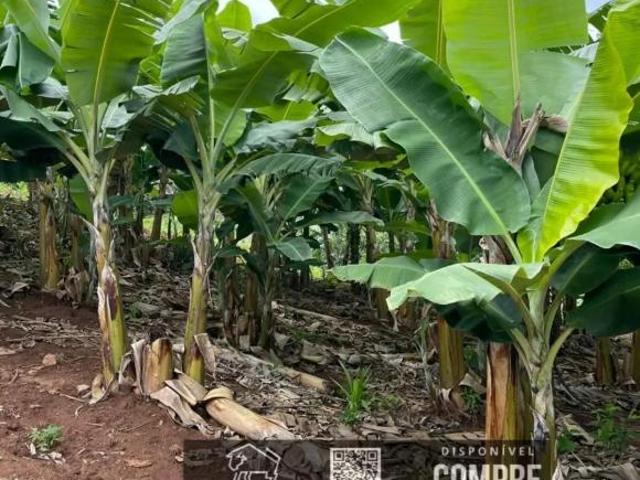 Casa para venda em Poté