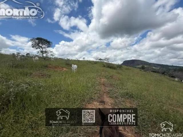 Casa para venda em Padre Paraíso