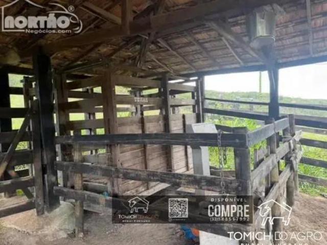 Casa para venda em Pedra Azul