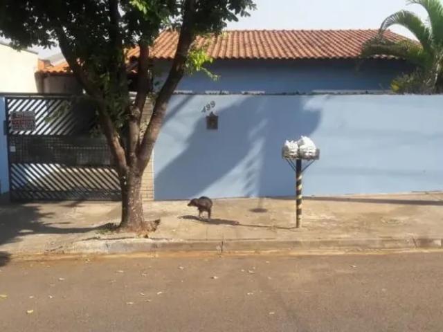Casa para Venda em Presidente Prudente, PLANALTINA, 3 dormitórios, 1 suíte, 1 banheiro, 3 vagas
