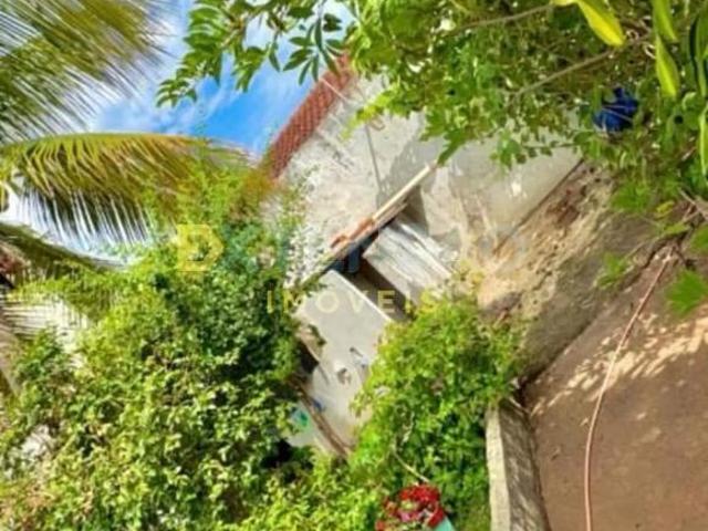 Casa para venda em Rosele de 13725.00m² com 3 Quartos e 1 Garagem