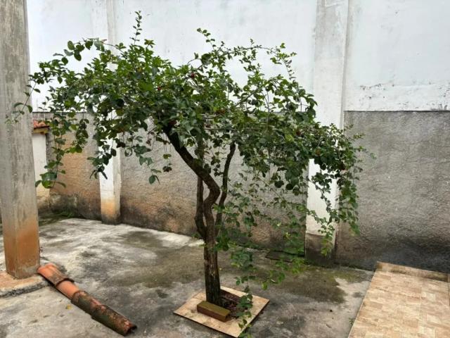 Casa para Venda em Rio de Janeiro, Ilha de Guaratiba, 2 dormitórios, 1 suíte, 2 banheiros, 2 vagas