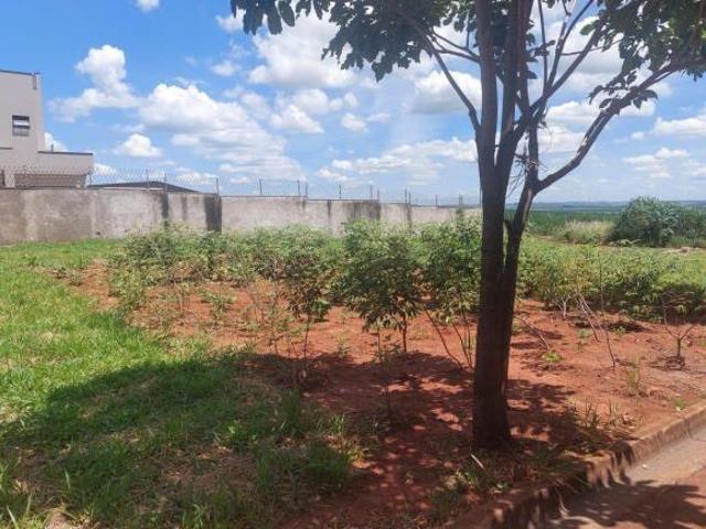 Casa para venda em Taquaral de 10.00m² com 1 Quarto, 1 Suite e 1 Garagem