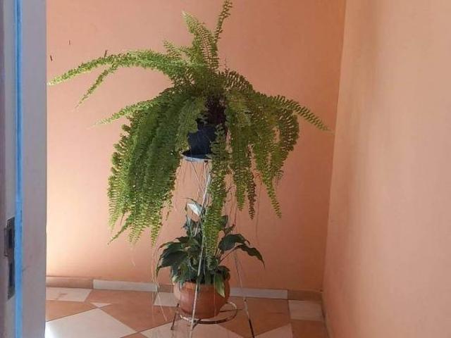 CASA PARA VENDA NO CENTRO DE BARUERI