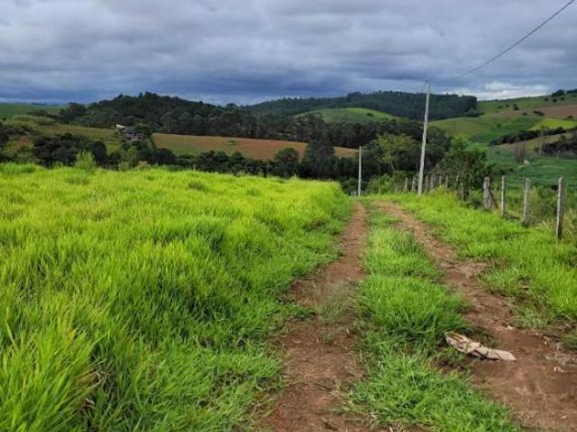 Casa, Rural para Venda, Centro, Pedra Bela