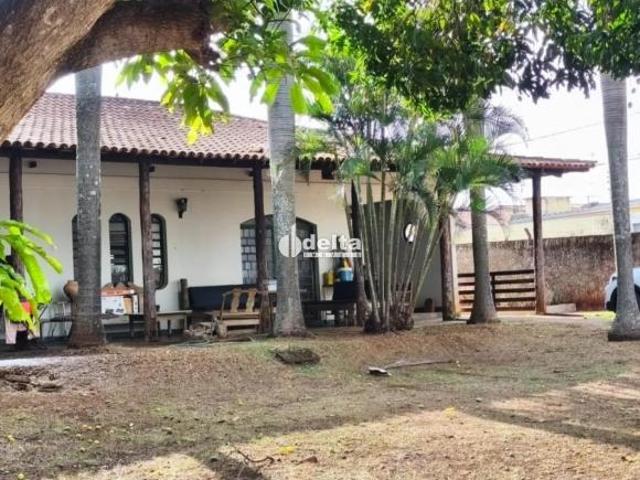 Casa residencial com 5 quartos sendo 1 suíte disponível para venda no bairro Cidade Jardim em Uberlâ