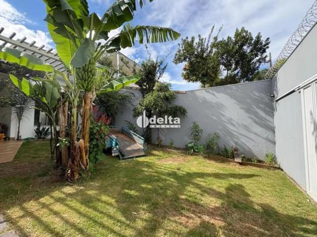 Casa residencial com 3 quartos sendo 2 suítes disponível para venda no bairro Jardim das Palmeiras e