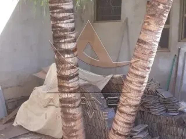 Casa Ribeirão Preto Parque das Figueiras