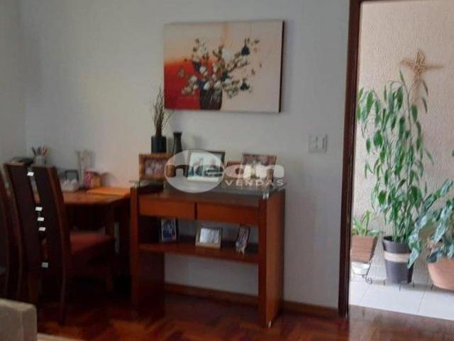 Casa Espaçosa com 170m², 3 Suítes e 3 Vagas em Nova Petrópolis, São Bernardo do Campo