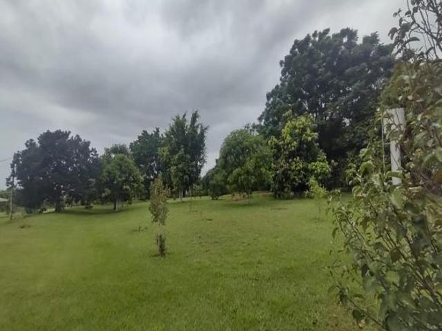 Casa, Saúde, Rio Claro, SP