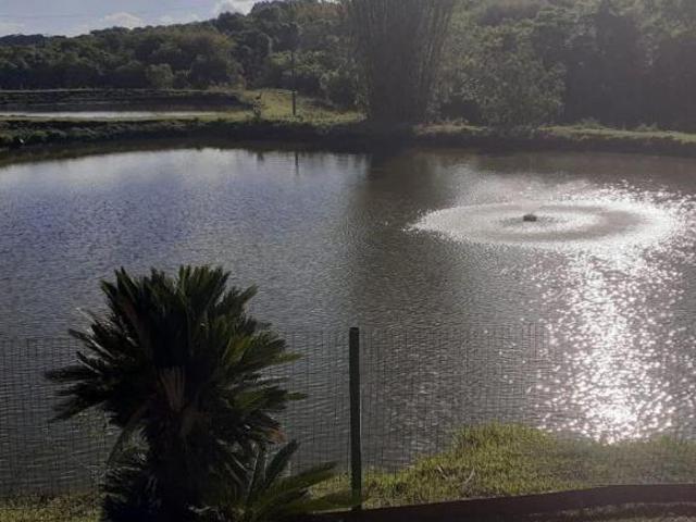 Casa sede,confinamento,granja,planta café,varias aptidões